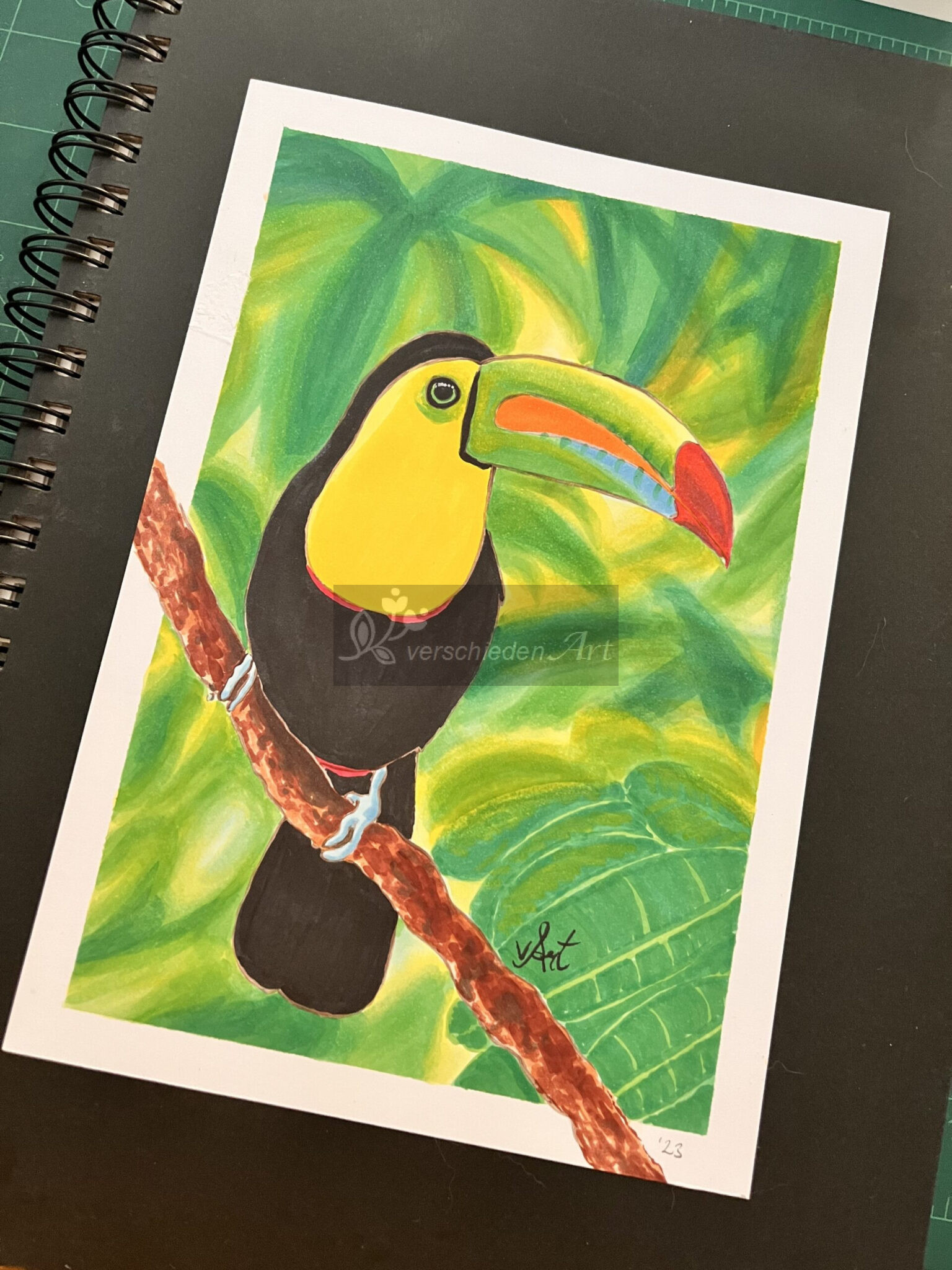 Tukan – Illustration mit Copic Markern – verschiedenArt
